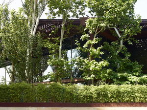 Bakü Chinar Restaurant